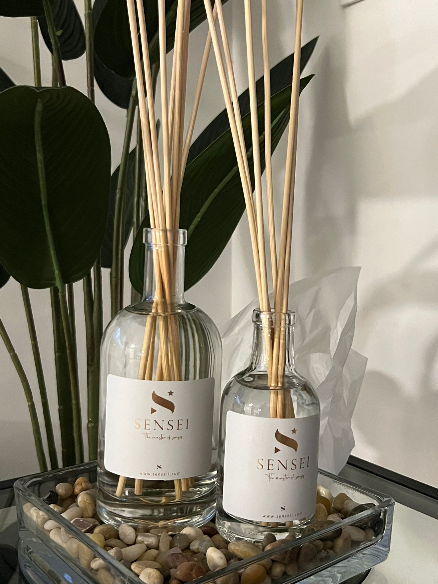 Sensei מפיץ ריח שקוף 500ml ''Sakura'' | מפיצי ריח